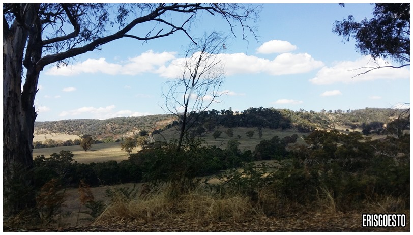 A Countryside Winery Experience @ Fowles Winery, Strathbogie Ranges ...