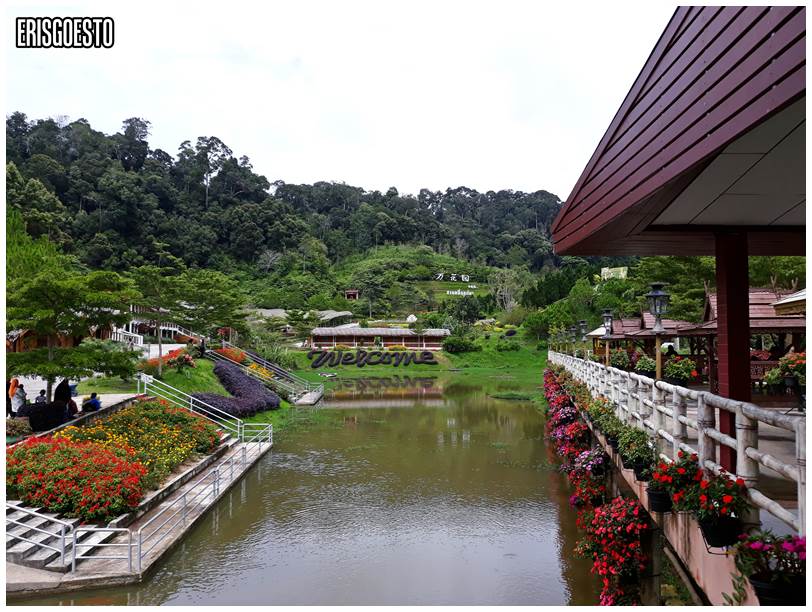 Attractions in Betong, Thailand : Beautiful Blooms @ Betong Winter ...