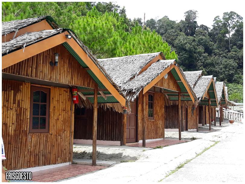 Attractions in Betong, Thailand : Beautiful Blooms @ Betong Winter ...