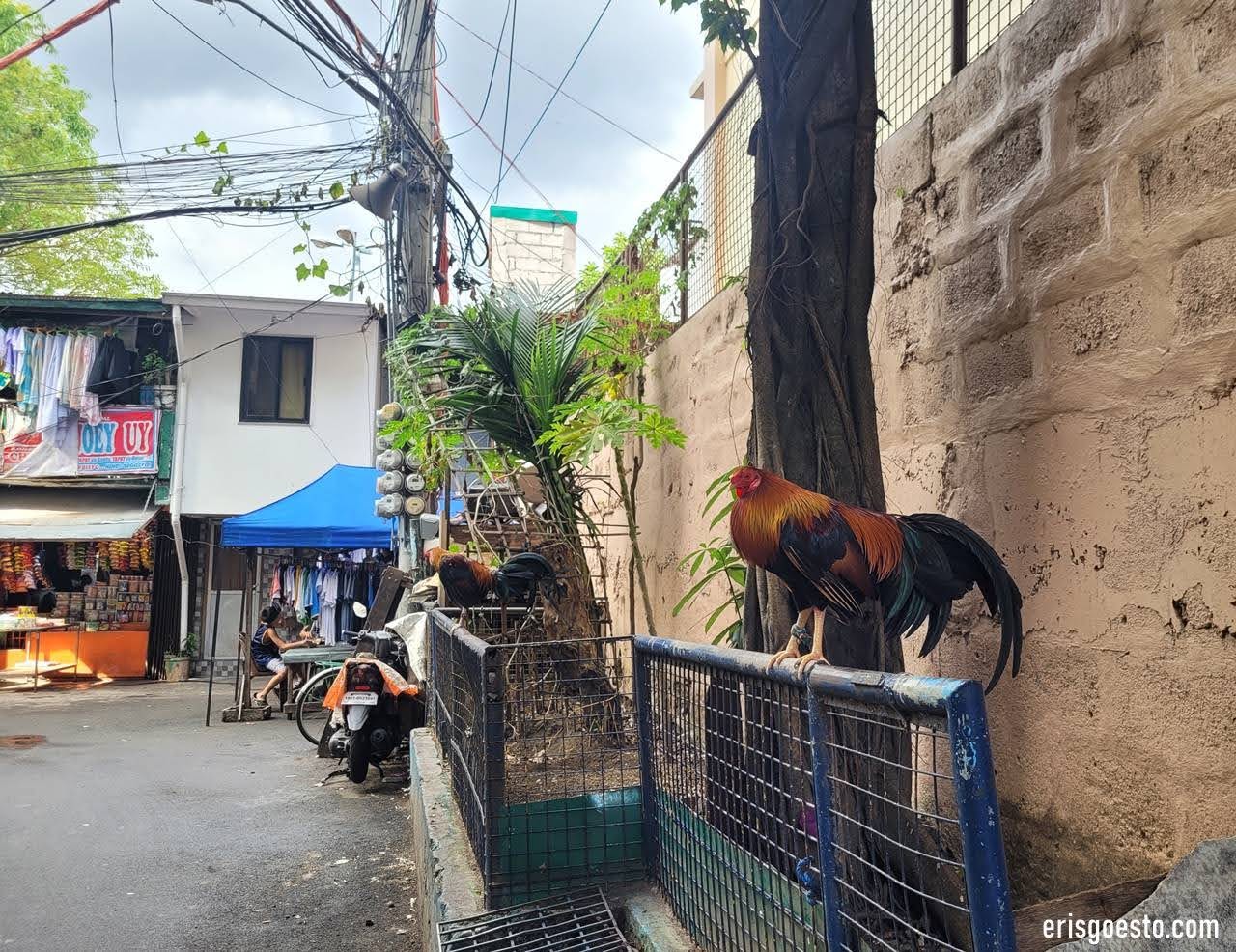 A Glimpse into Daily Life at Punta, Sta. Ana Manila – Eris Goes To