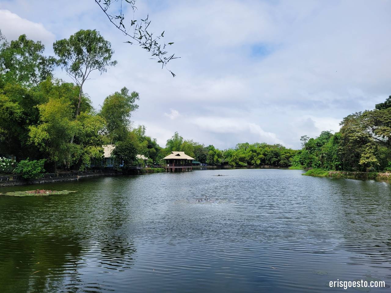 Exploring the Ninoy Aquino Parks and Wildlife Centre, Quezon City ...